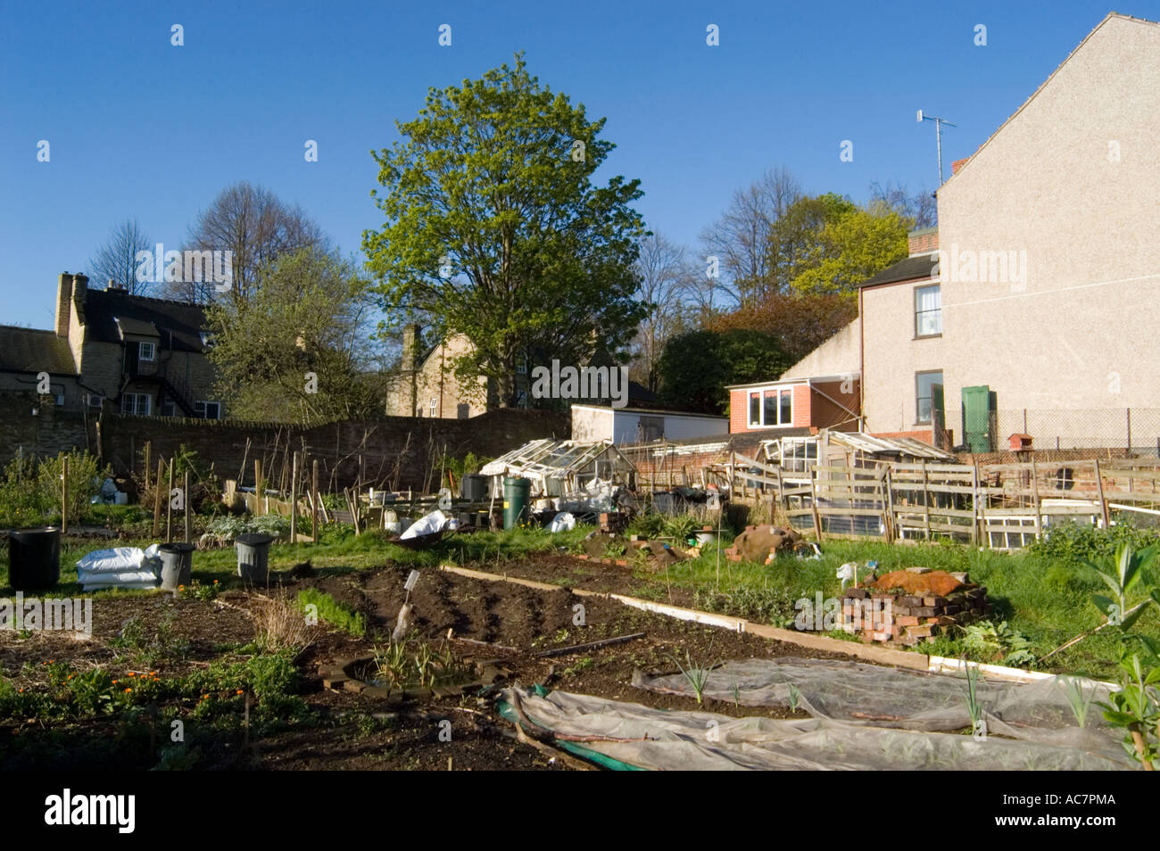 Allotment in Broomhall Sheffield UK Stock Photo - Alamy