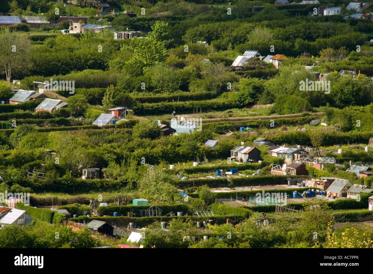 Sheffield allotments hi-res stock photography and images - Alamy