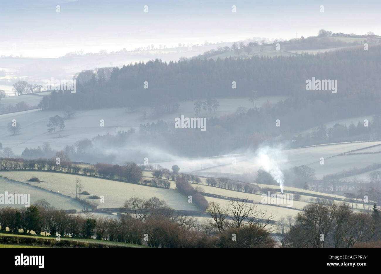 Burnt by frost hi-res stock photography and images - Alamy