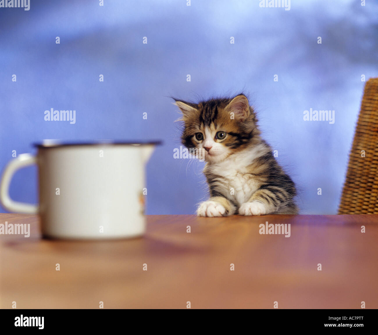 Watching pot hi-res stock photography and images - Alamy