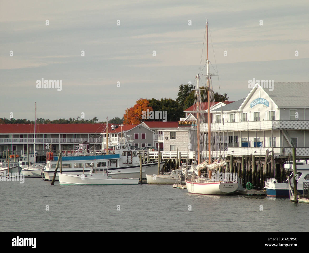 Booth bay lobster hi-res stock photography and images - Alamy