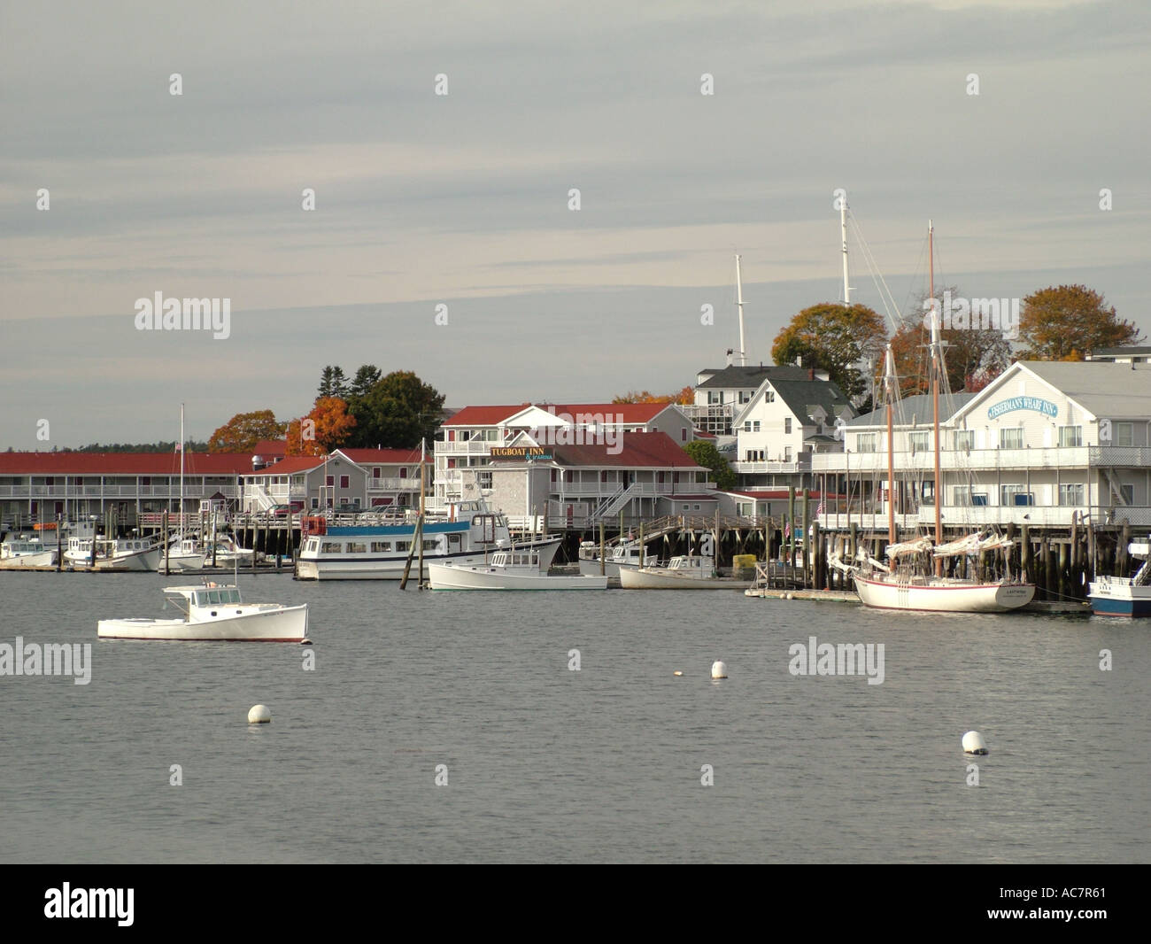 Booth bay lobster hi-res stock photography and images - Alamy