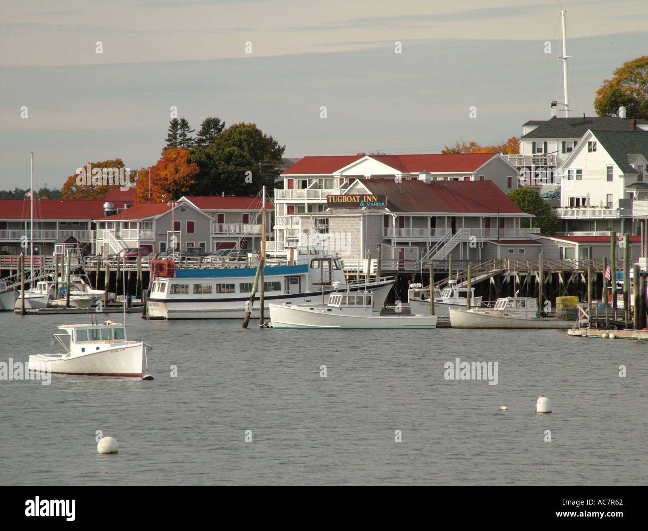 Booth bay lobster hi-res stock photography and images - Alamy