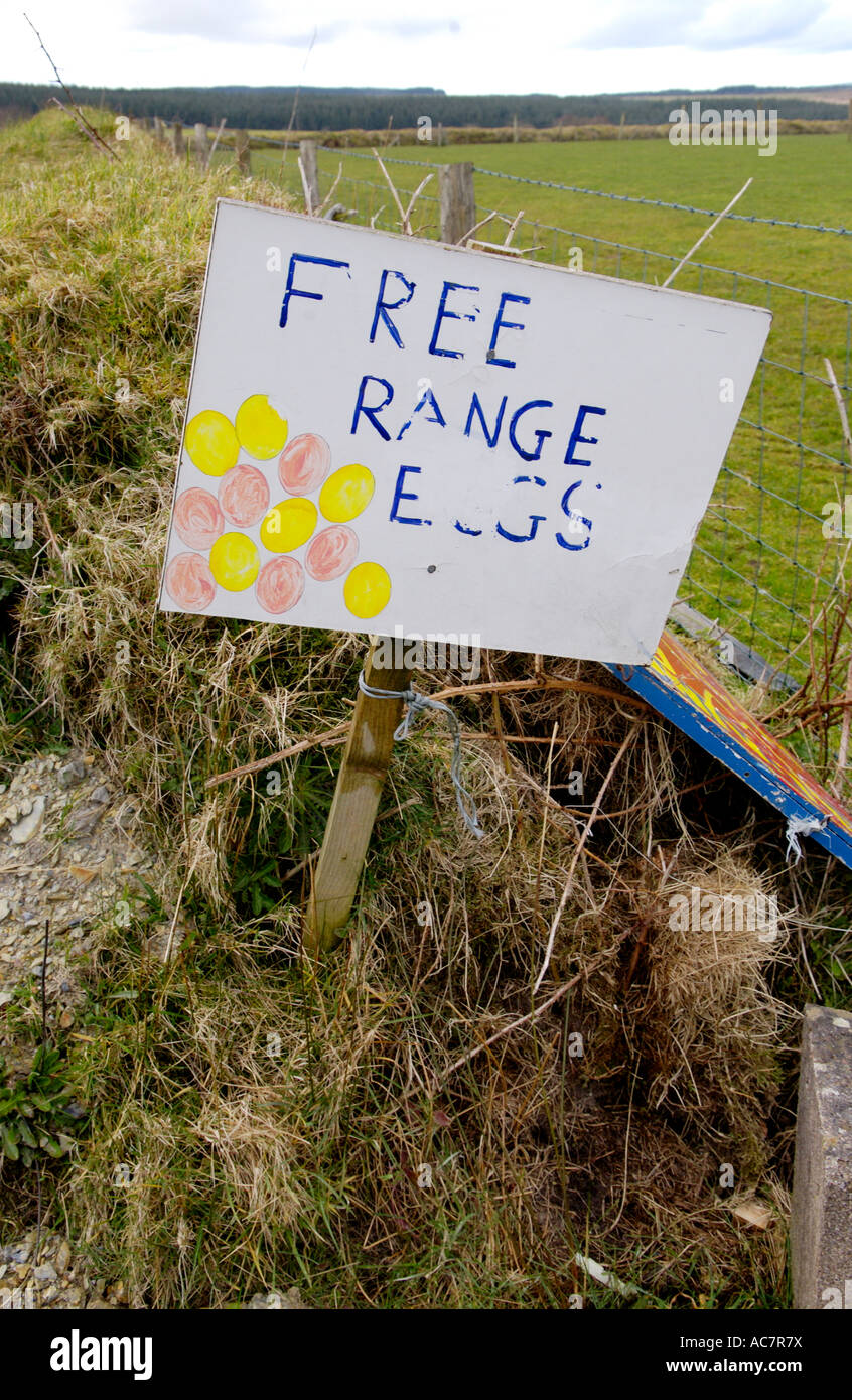 Eggs for sale signs hi-res stock photography and images - Alamy