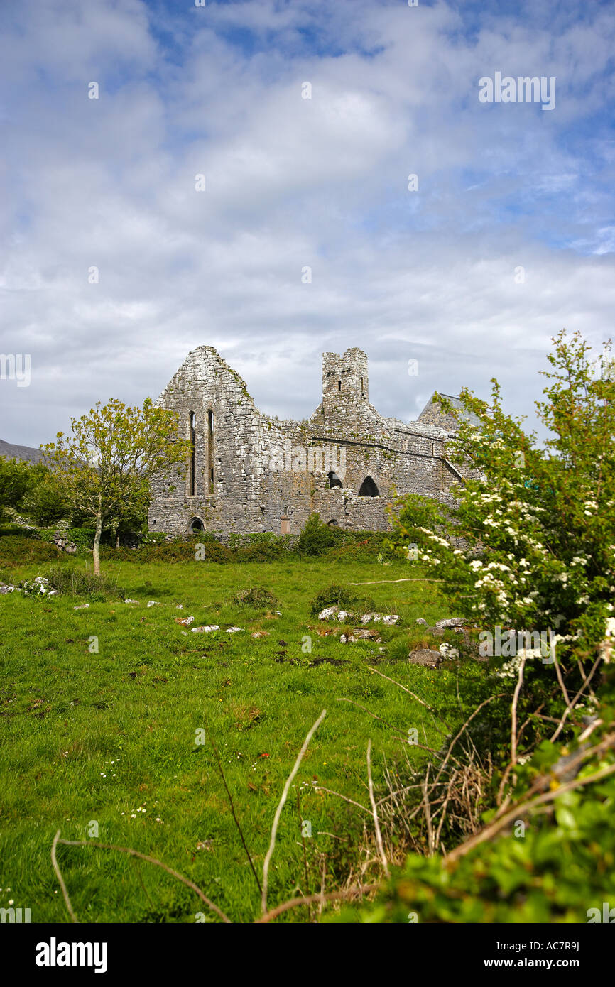 Corcomroe Abbey, the Burren, County Clare, Ireland Stock Photo - Alamy