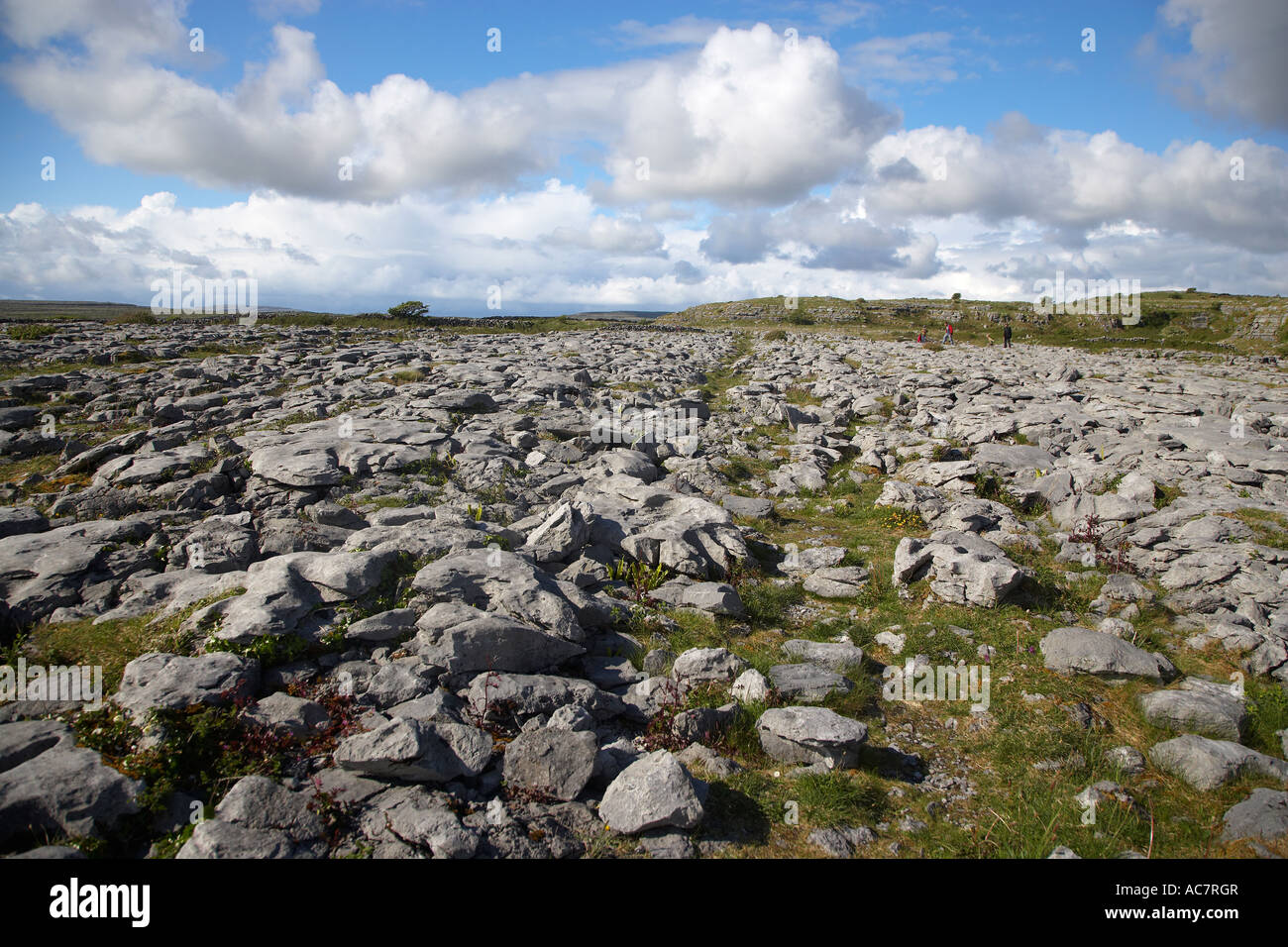 The Burren, County Clare, Ireland Stock Photo - Alamy