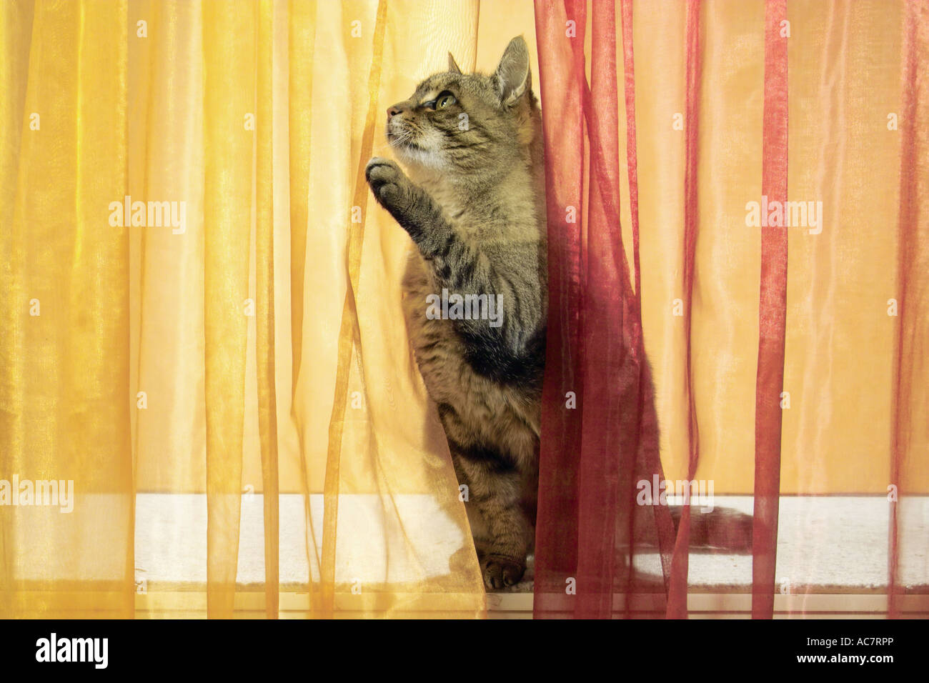 Lift the curtain hi-res stock photography and images - Alamy