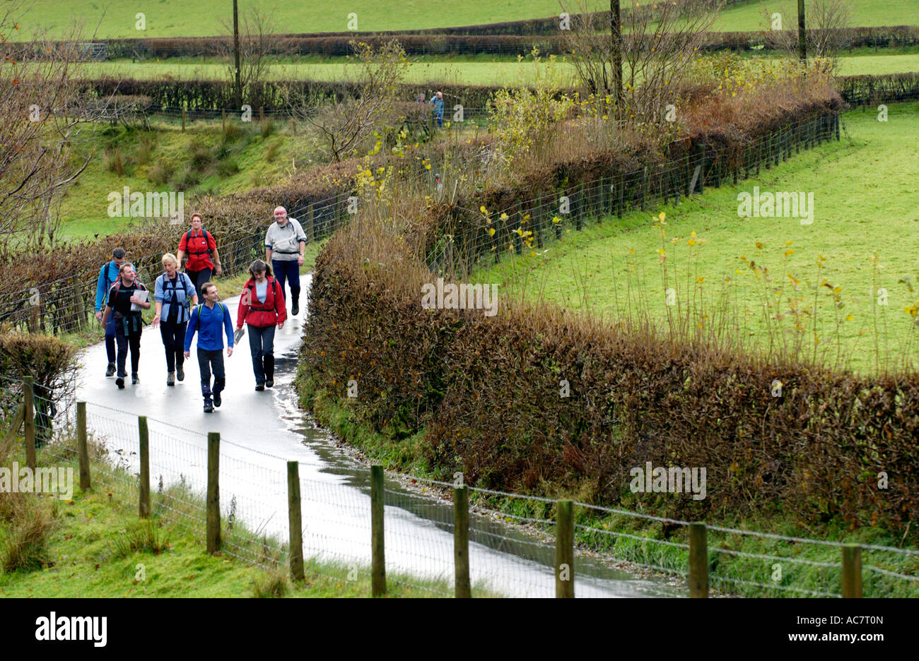 Group of walkers on country road near Llanwrtyd Wells Powys Wales UK ...