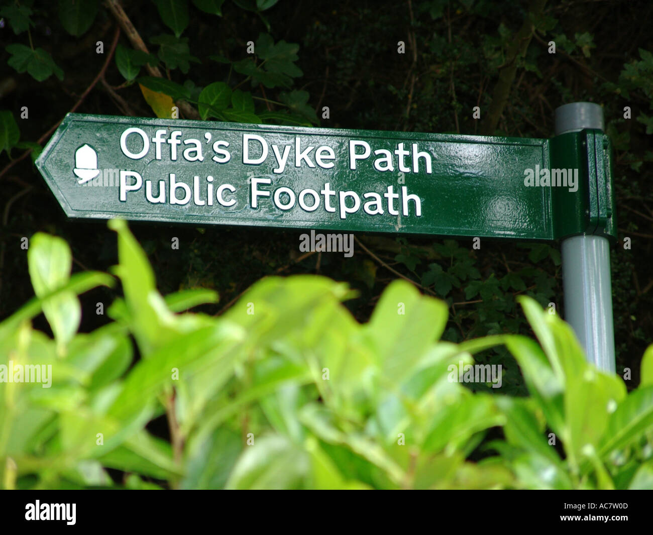 Offas Dyke Path Walk England UK 2004 Stock Photo - Alamy