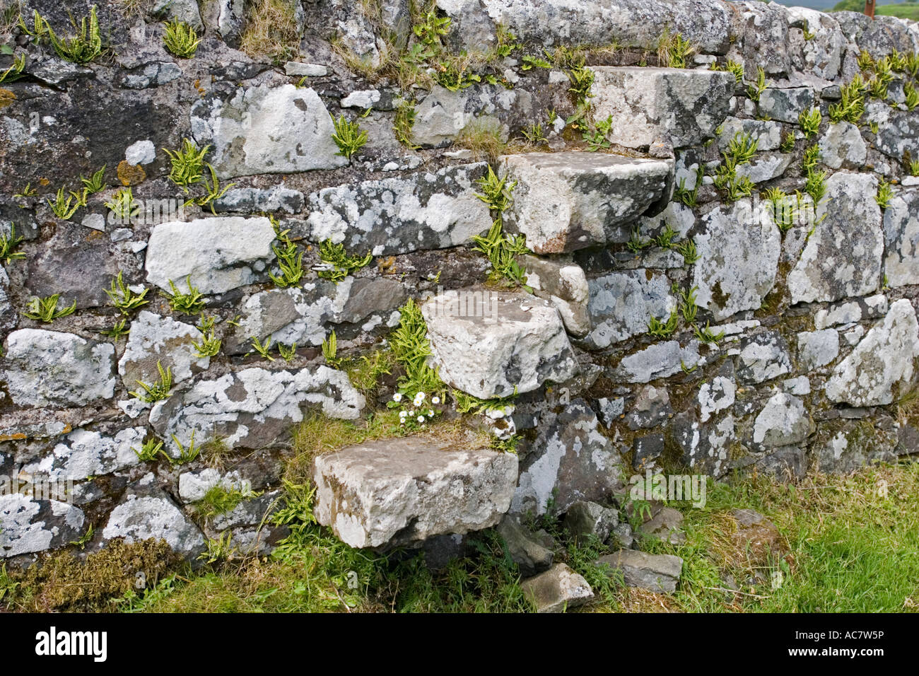 Stone steps built into ancient wall Kidalton Isle of Islay Scotland UK ...