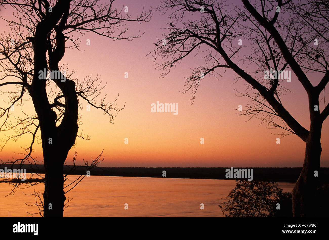 Zambezi ecosystem hi-res stock photography and images - Alamy