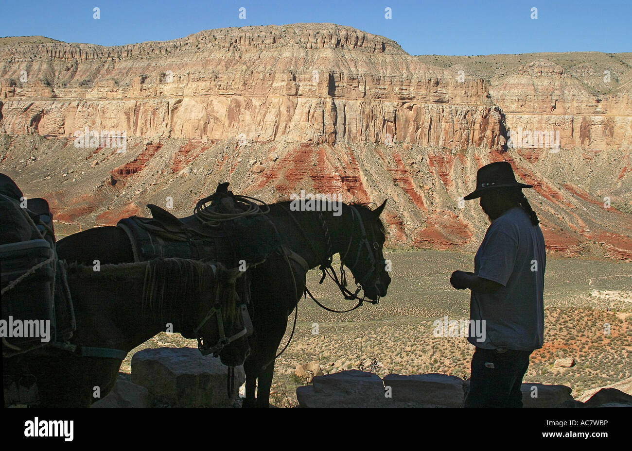 Native American cowboy with his pack mule and supplies Stock Photo - Alamy
