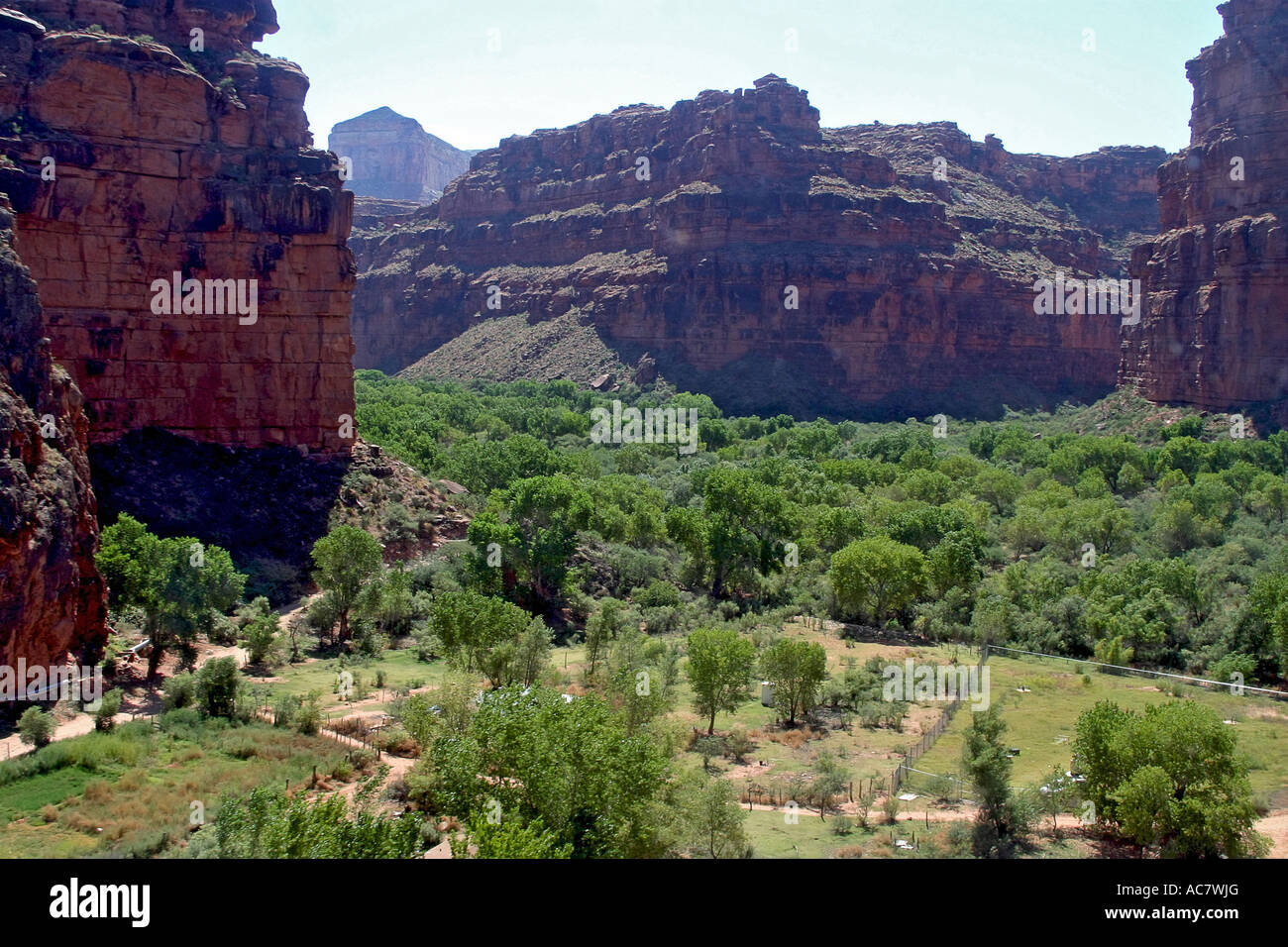 Aerial view of Supai Village Havasu Canyon Stock Photo - Alamy