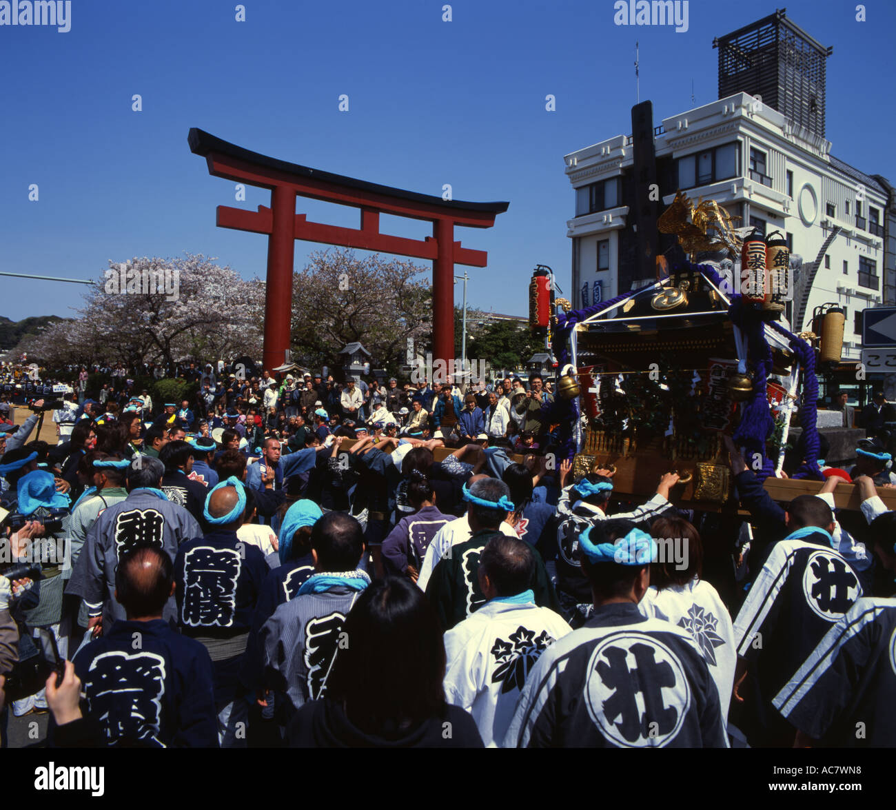Kamakura Festival. Mikoshi, portable shrines, are carried down Wakamiya ...