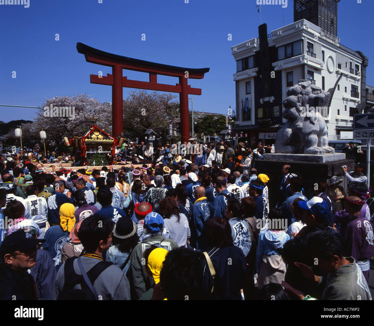 Kamakura Festival. Mikoshi, portable shrines, are carried down Wakamiya ...