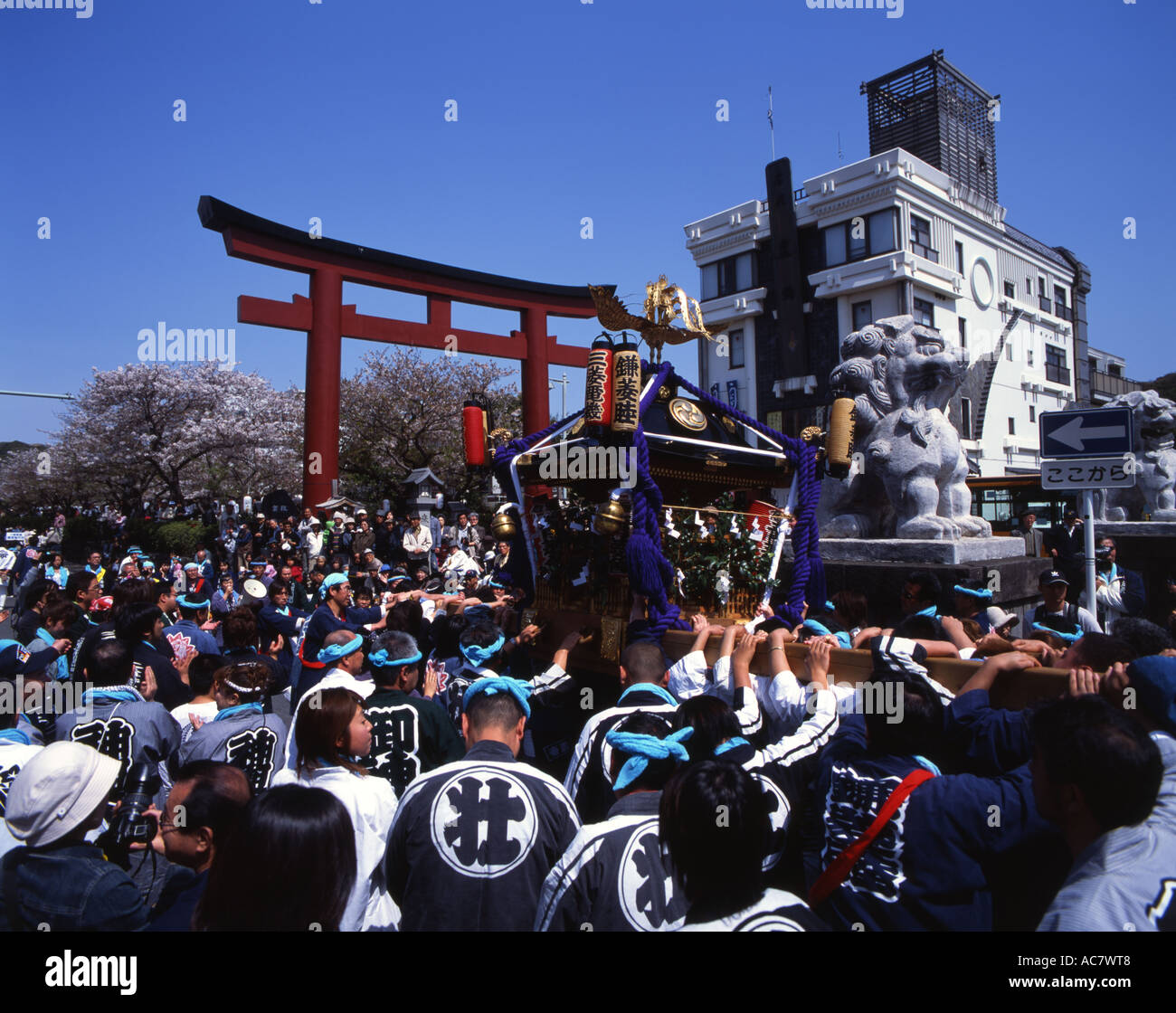 Kamakura Festival. Mikoshi, portable shrines, are carried down Wakamiya ...