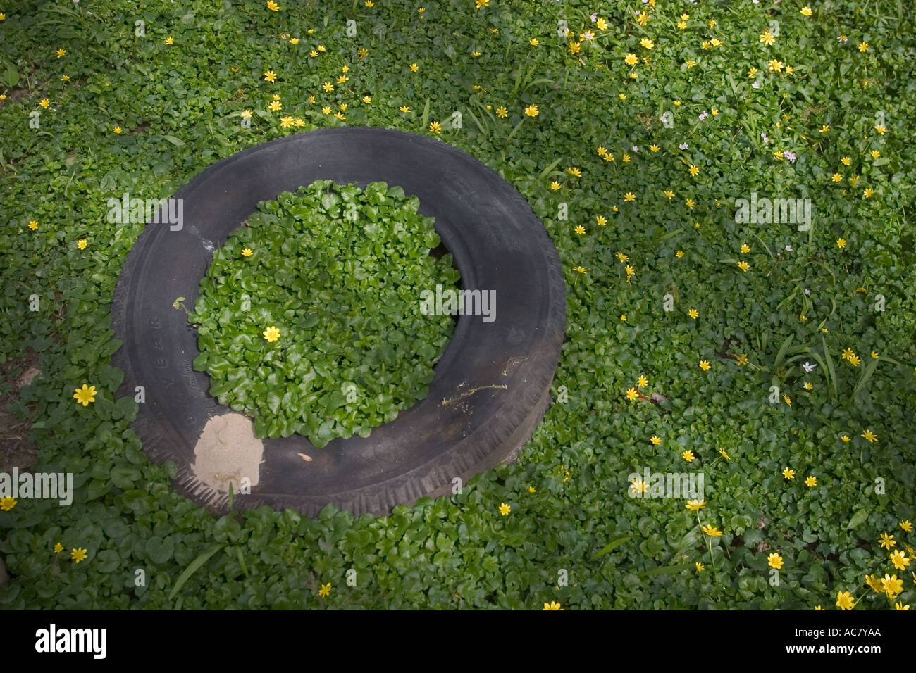 Washington dc trash hi-res stock photography and images - Alamy