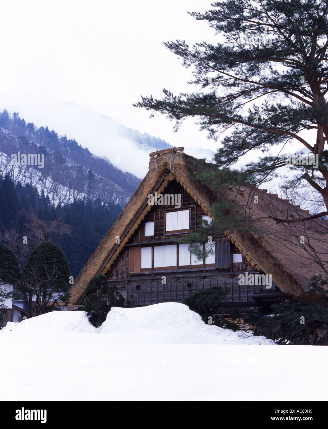Shirakawa-go UNESCO world heritage site. Gassho-zukuri traditional ...