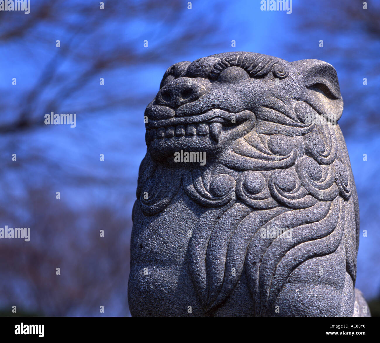 Shisa, lion dog statue at Gotemba Peace Memorial Park Stock Photo - Alamy