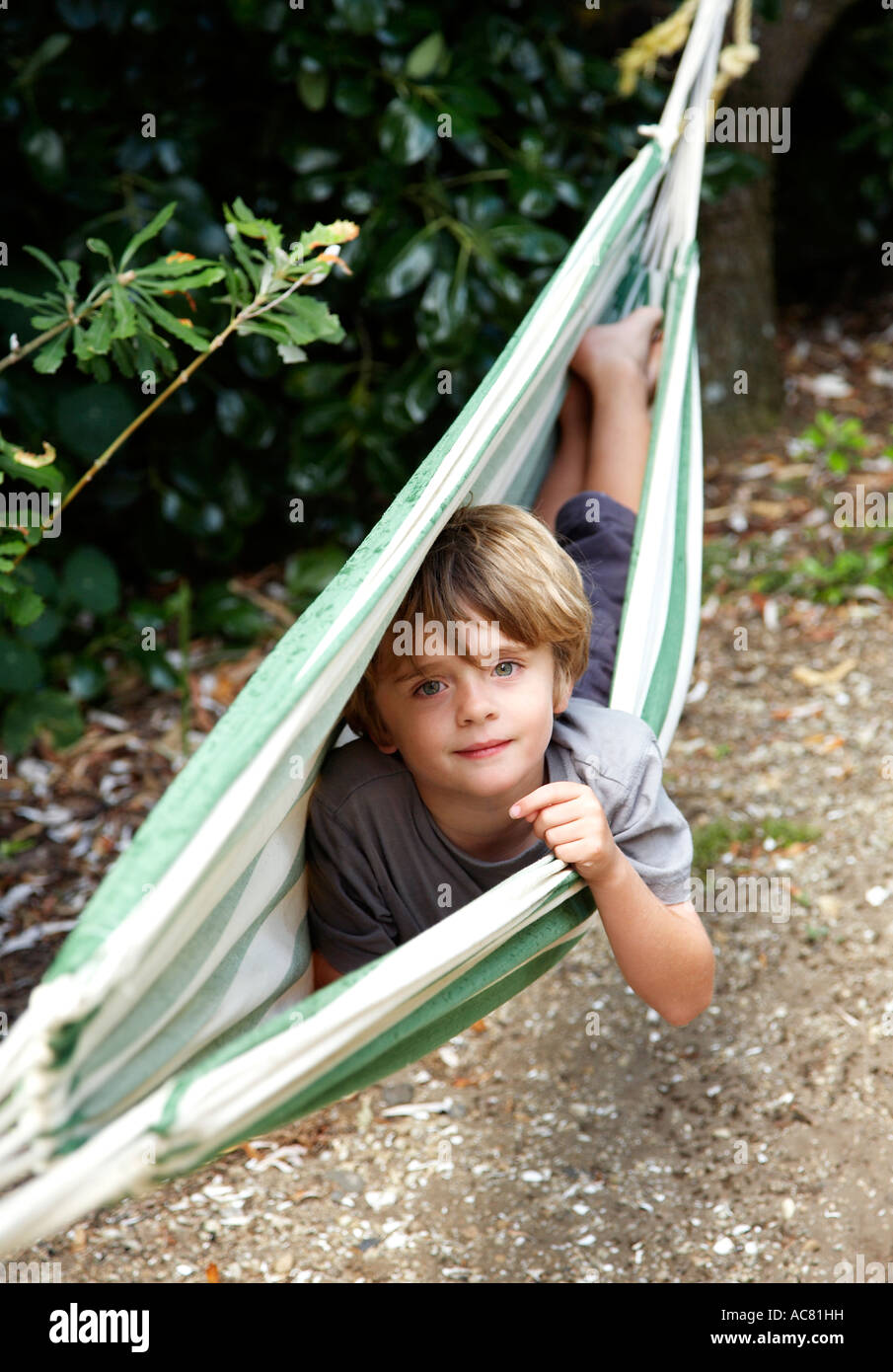 boy laying relaxing in hammock in summer at batch Stock Photo - Alamy