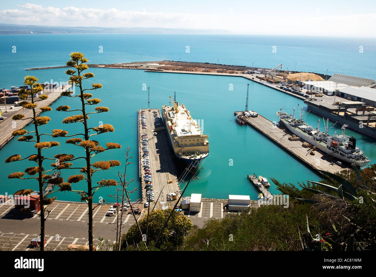port of napier from bluff hill hawkes bay Stock Photo - Alamy