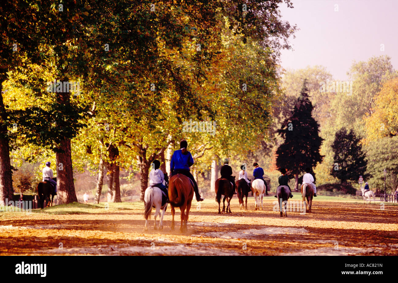 riders on rotten row, hyde park, london, england Stock Photo - Alamy