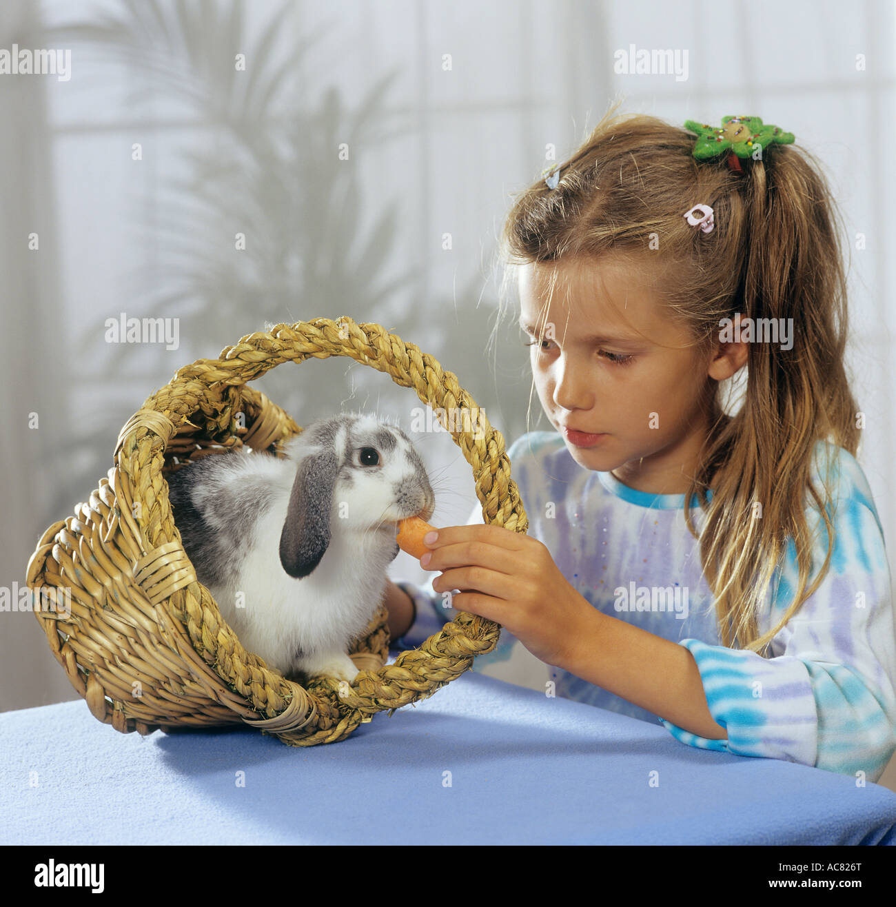 Child feeding rabbit carrot hi-res stock photography and images - Alamy