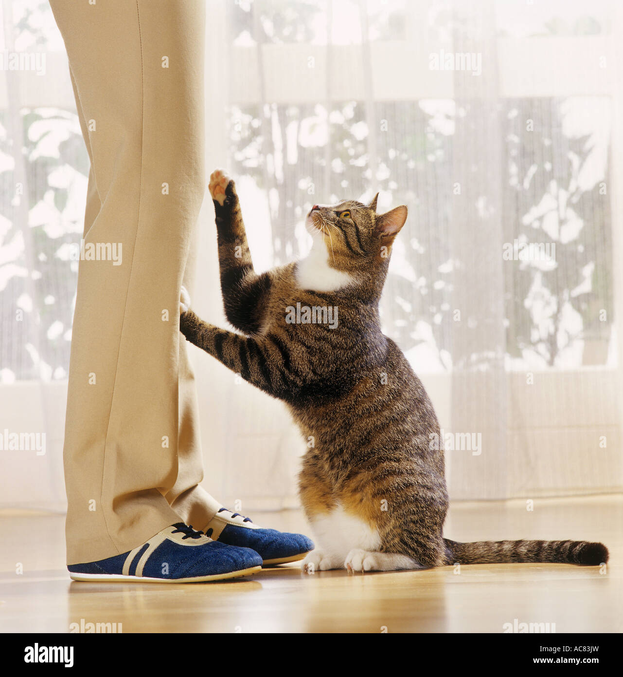 Nudge behaviour hi-res stock photography and images - Alamy