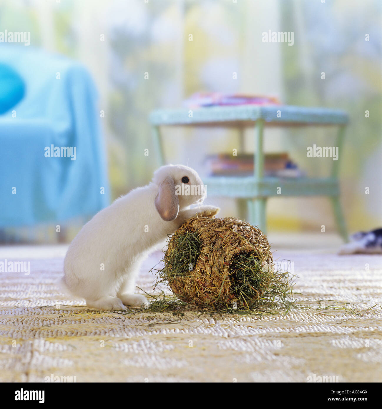 Hayball hi-res stock photography and images - Alamy