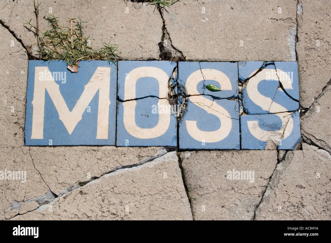 MOSS sign,blue broken concrete crack day disco volante english grass ...