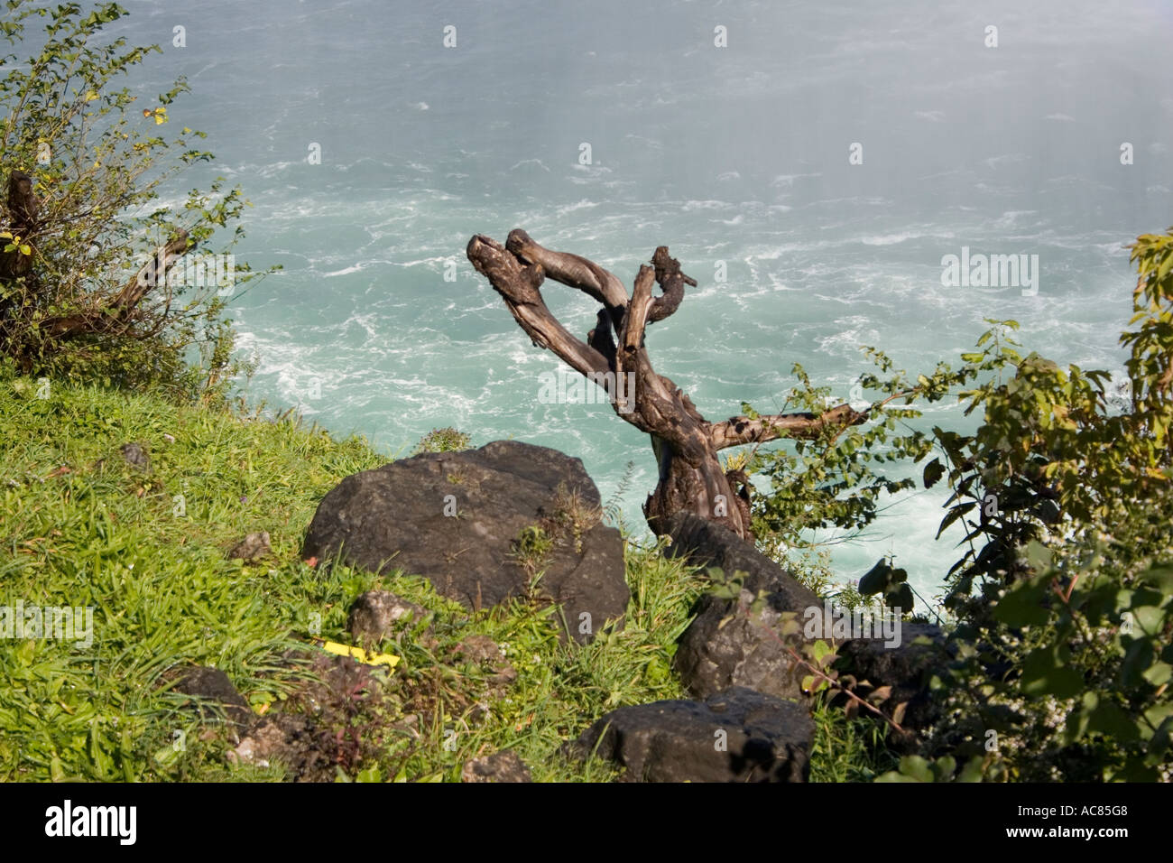 Niagara Falls,blue boulder branch bush canada cliff day destination ...