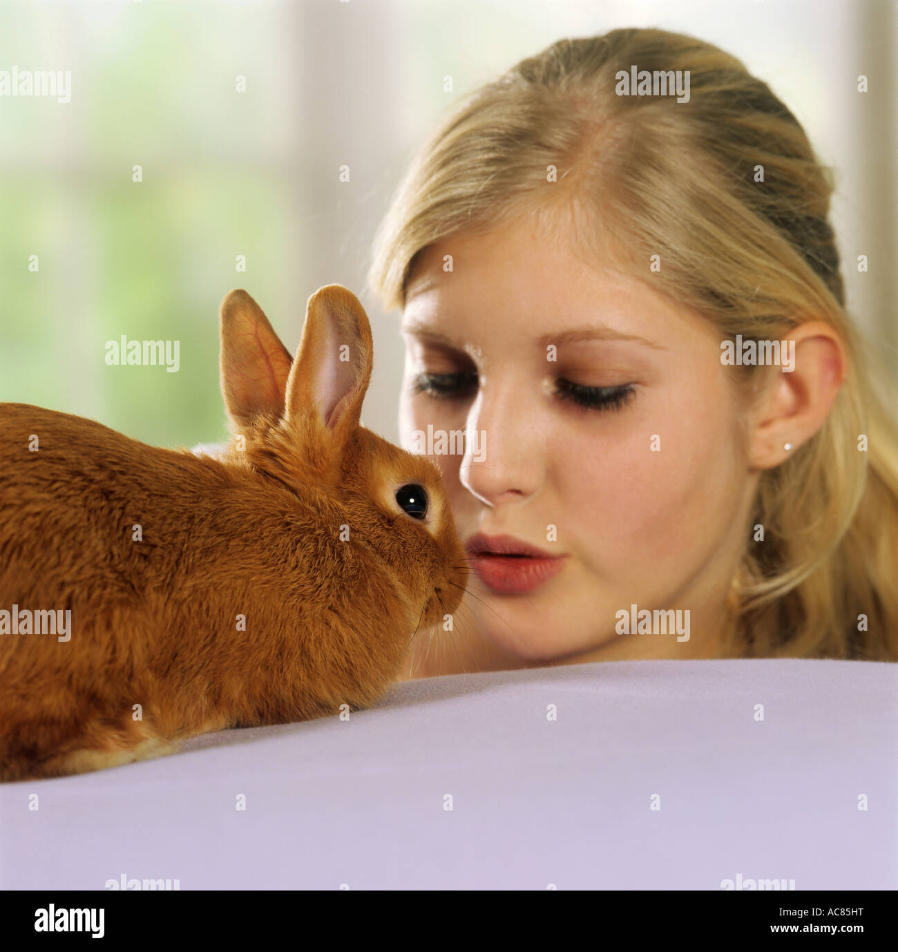 young woman - with pygmy rabbit Stock Photo - Alamy