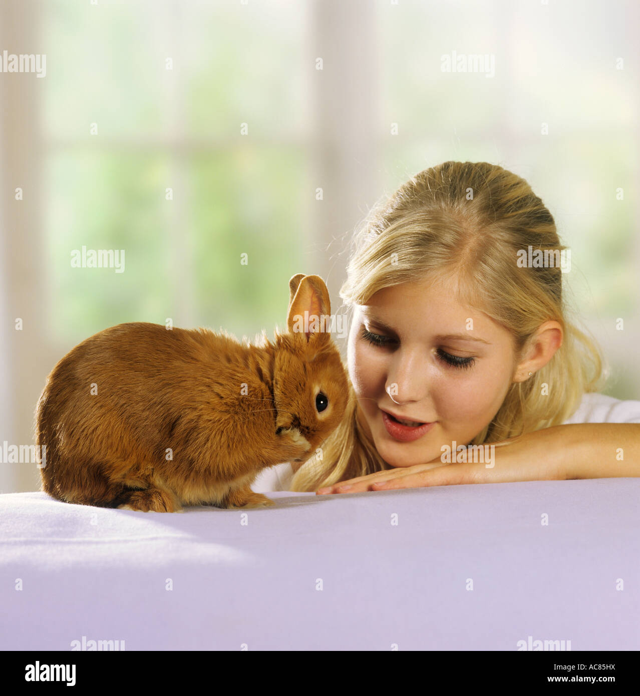 young woman with pygmy rabbit Stock Photo - Alamy