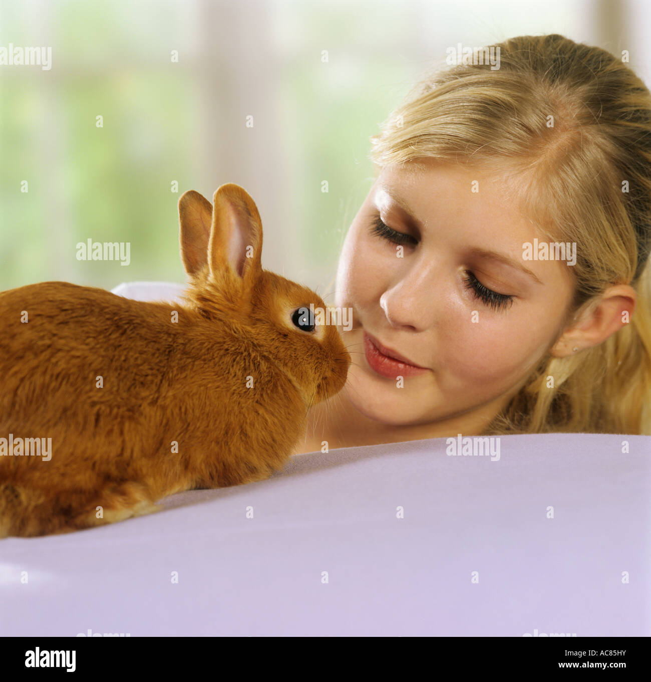 young woman with pygmy rabbit Stock Photo - Alamy