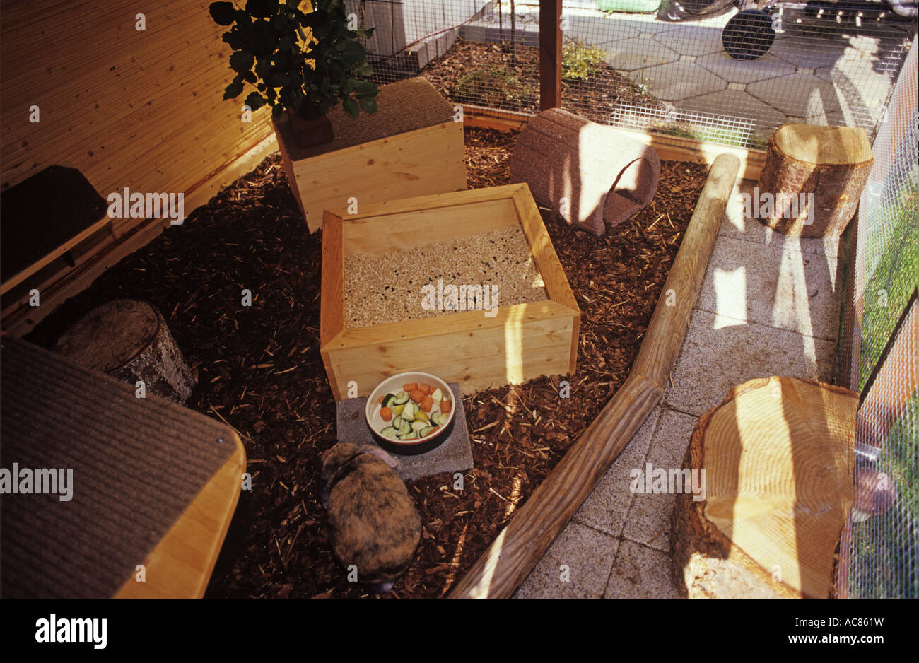 Dwarf rabbit balcony hi-res stock photography and images - Alamy