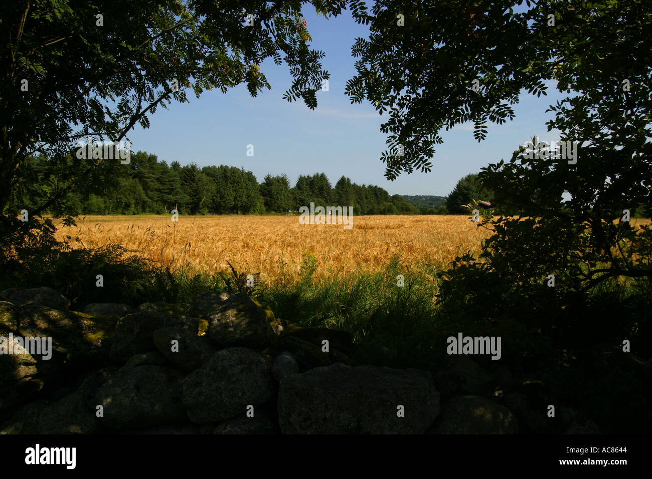 Opening of the green border hi-res stock photography and images - Alamy