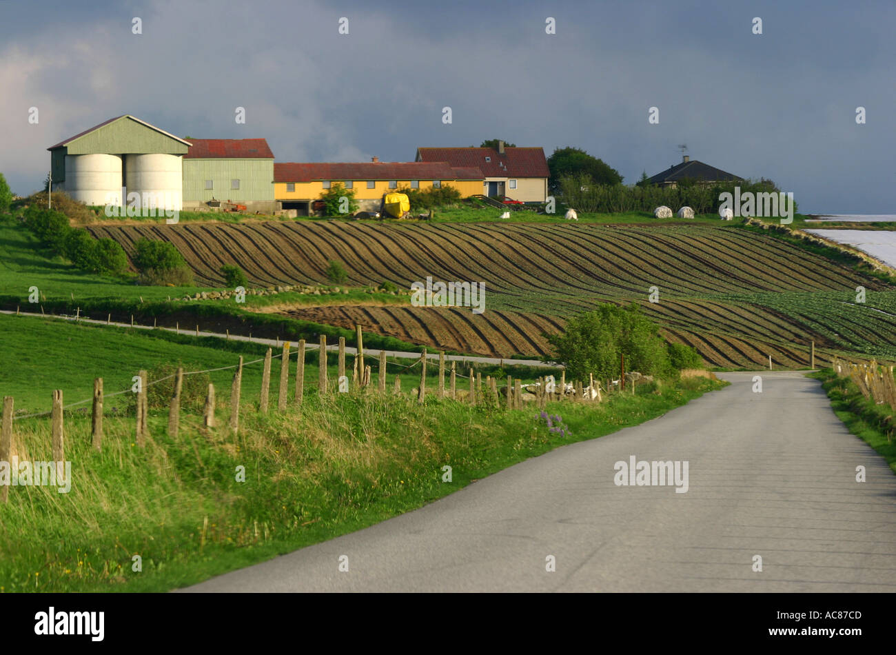Norway crops agriculture hi-res stock photography and images - Alamy