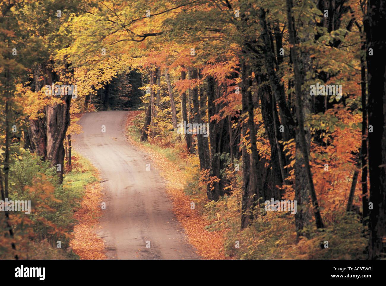 Vermont trees hi-res stock photography and images - Alamy