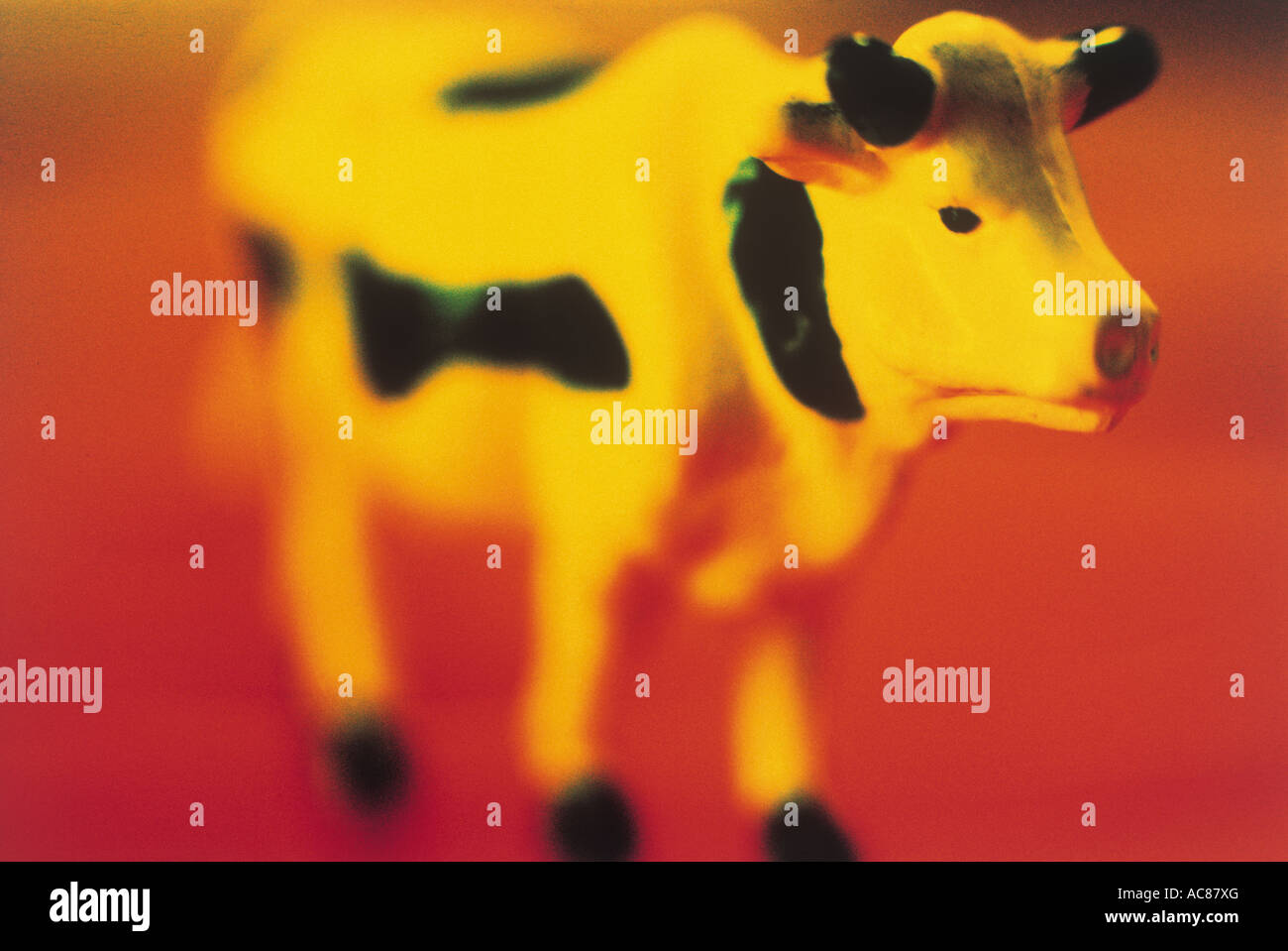 Cow Model High Resolution Stock Photography and Images - Alamy