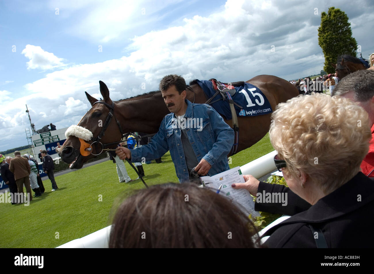 Parade ring at the Curragh racecourse, Ireland Stock Photo - Alamy