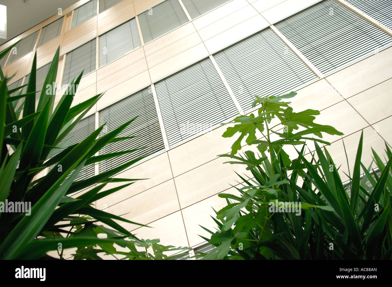 Office plants atrium hi-res stock photography and images - Alamy