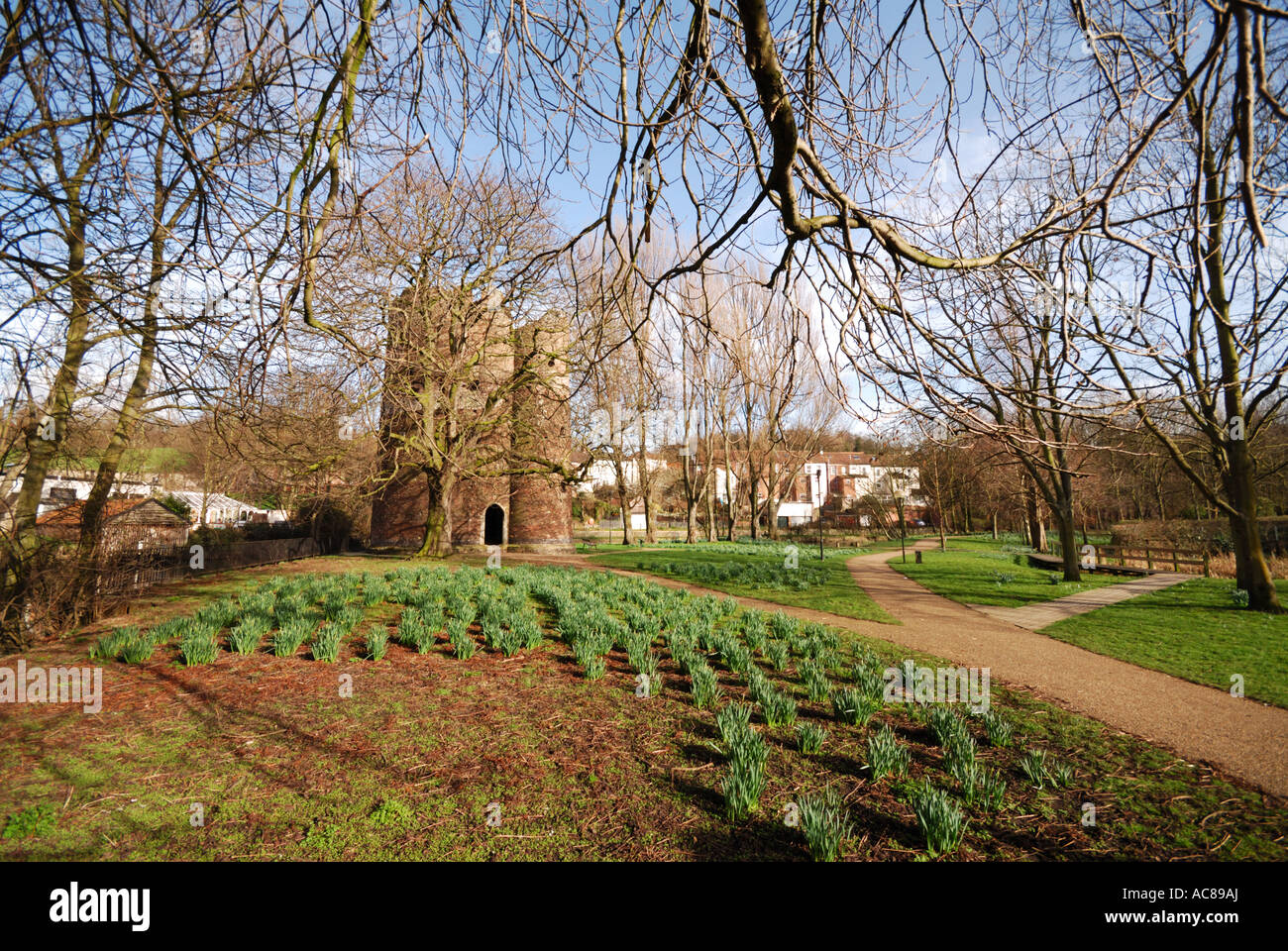 Cow Tower, Norwich Stock Photo - Alamy