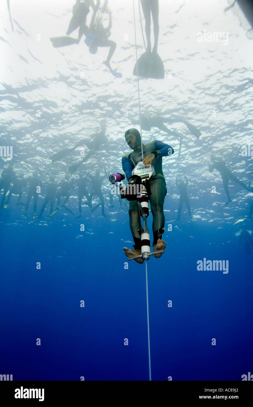 Free diver Carlos Coste from Venezuela decends on a weighted sled to ...