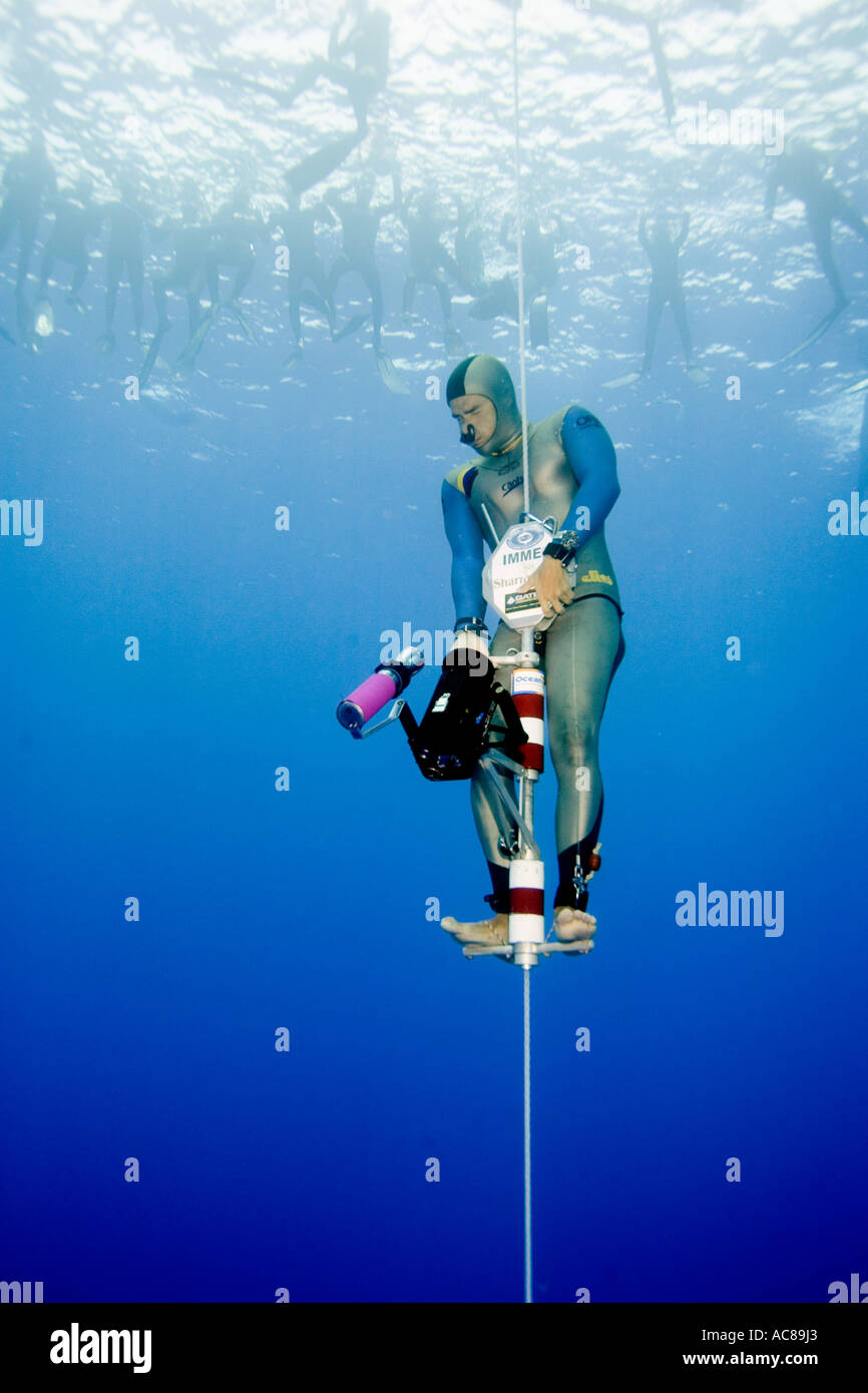Free diver Carlos Coste from Venezuela decends on a weighted sled to ...