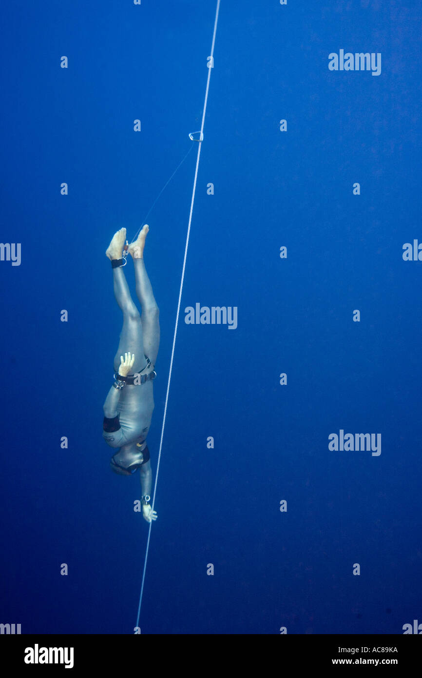 Free Diver Carlos Coste descends down a line in the Red Sea Egypt Stock ...