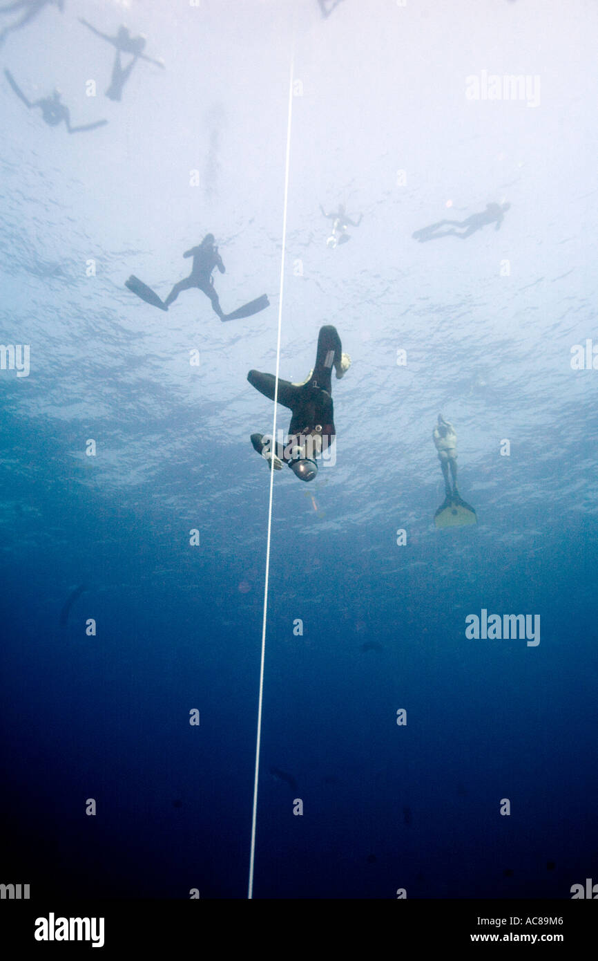 A free diver returns to the surface after practicing below other free ...
