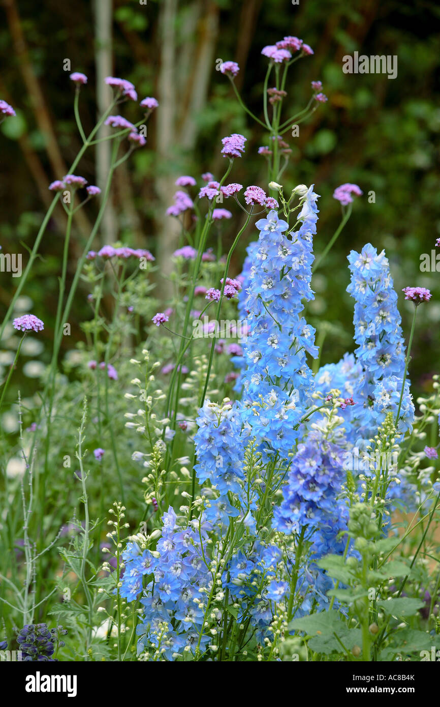 A MIDSUMMER NIGHT'S DREAM. DESIGNERS:NIGEL BOARDMAN & STEPHEN GELLY ...