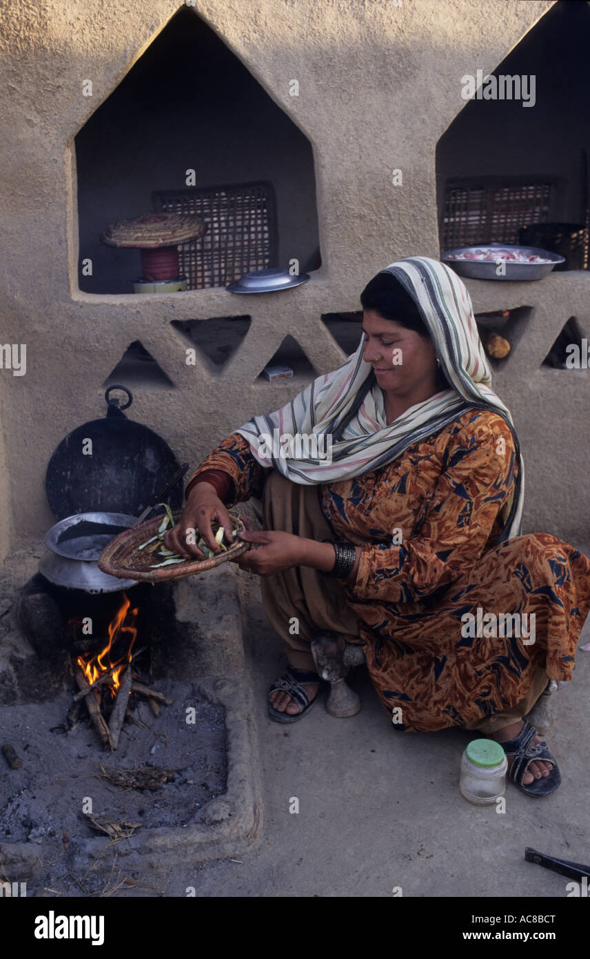Pakistan Northwest Frontier Province Woman cooking vegetables on wood ...