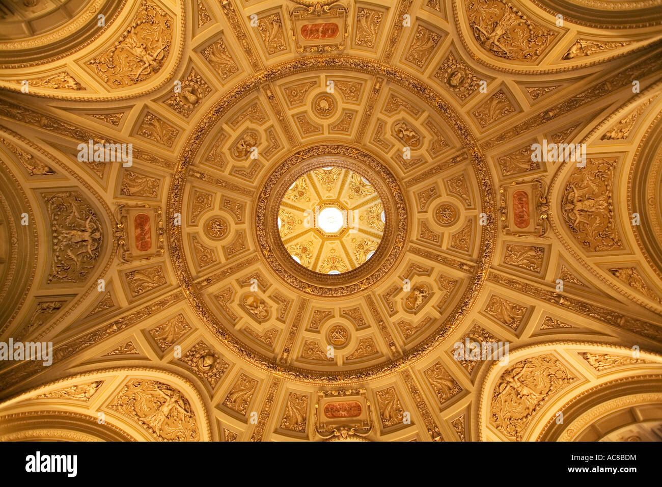 Vienna National History Museum ceiling Stock Photo - Alamy