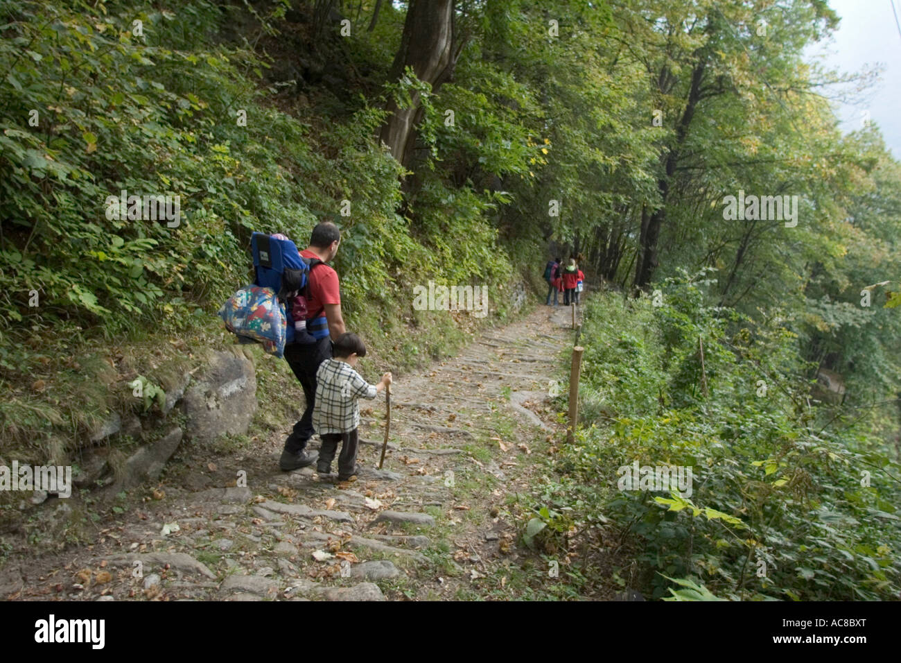 Father and son walking in the chestnut woods of Savogno, Sondrio, Italy ...